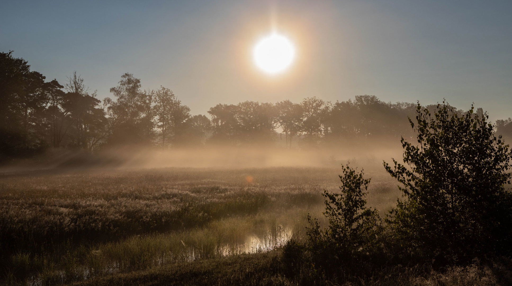 Home - gemeente Lochem